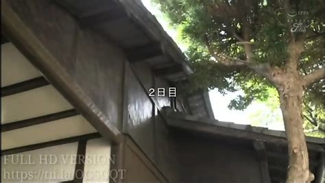 Slipped My Dick Into The Pussy Of My Sister In Law Decensored Eporner