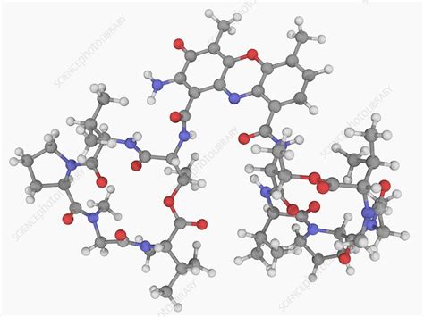 Actinomycin D Drug Molecule Stock Image F0046131 Science Photo