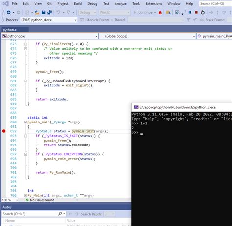 Visual Studio Where Should I Put The Breakpoint That VS Debugger Will Activate When I Enter