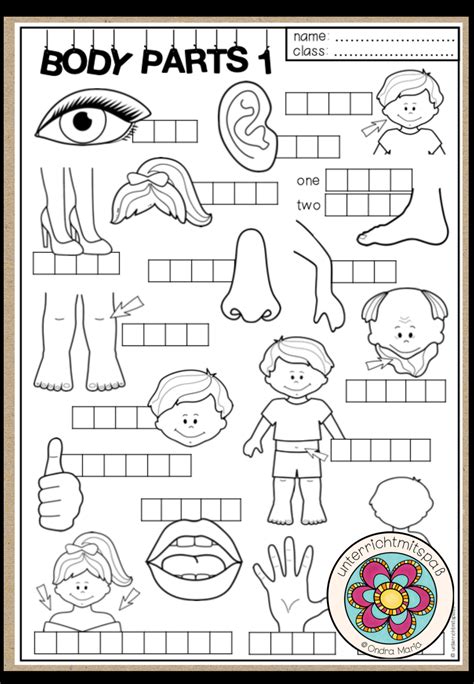 Body Parts Vocabulary Work 2 Worksheets Unterrichtsmaterial Im