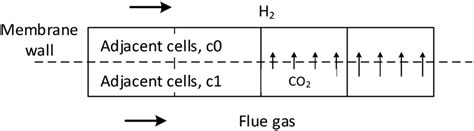 Abstraction Of The Membrane Permeation Processes Download Scientific