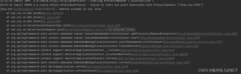 Idea项目启动报错：address Is Already In Use Bindidea Address Already In Use