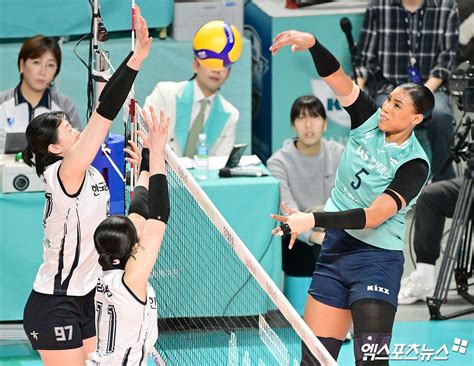 실바 강한 스파이크 포토 나무뉴스