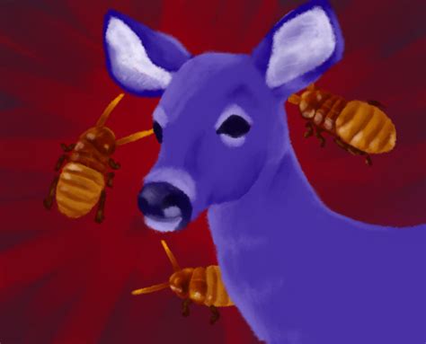 Deer Cockroach By Thestuffedpokemon On Deviantart