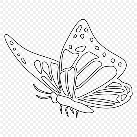 Minimalistic Bug Line Drawing Print Digital Prints Art And Collectibles