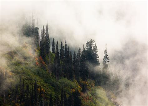 Pacific Northwest Wallpapers 4k Hd Backgrounds On Wallpaperbat