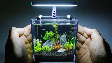 Best Nano Aquariums 5 Nano Tanks Reviews 2019