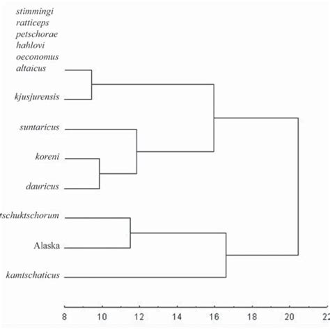 The Upgma Dendrogram Resulting From Cluster Analysis Of Morphometric