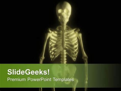 Human Skeleton Stock Illustration Powerpoint Templates Ppt Backgrounds
