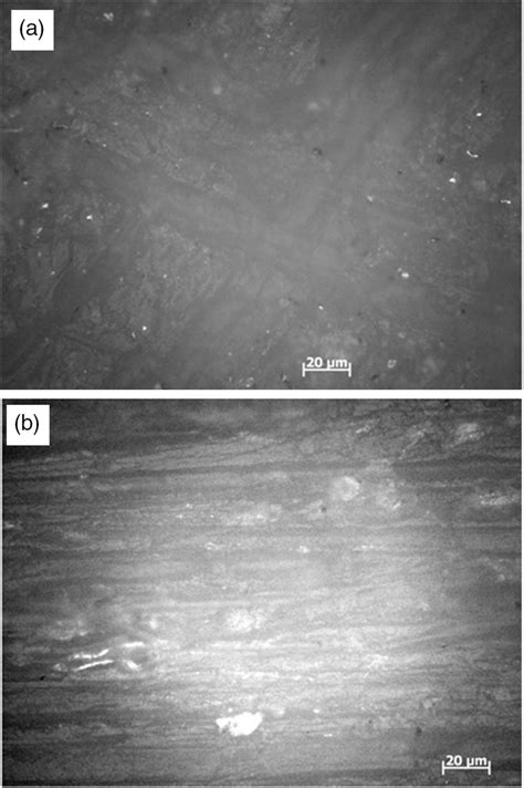 Optical Microscope Image Of Sanded Polytetrafluoroethylene Ptfe A