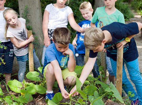 Sociale Cohesie Green Cities