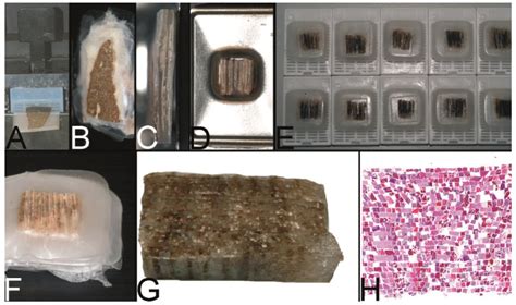 Overview On Techniques To Construct Tissue Arrays With Special Emphasis