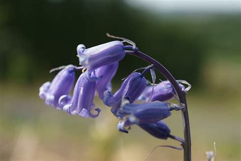 What Is Diffraction How To Avoid Out Of Focus Photos