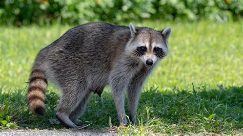 Kristina Fiore Journalist Profile Intelligent Relations