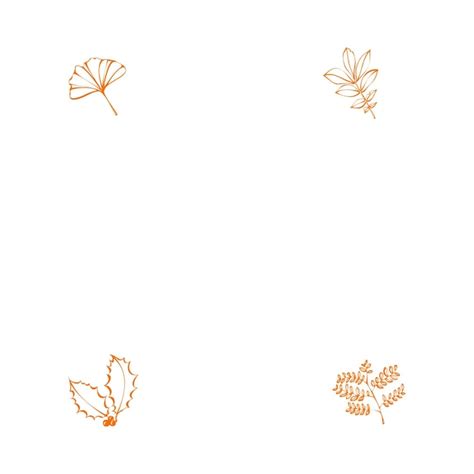 Premium Vector Folium Senna Leafs Vector