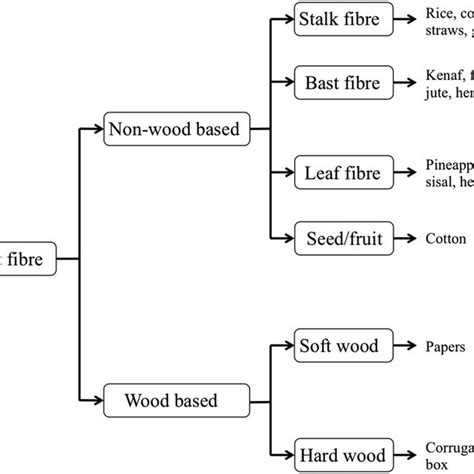 Classification Of Plant Fibres And Some Exemplary Fibrous Products