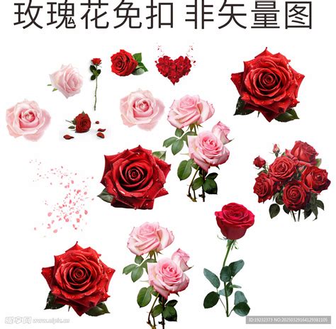 玫瑰花免扣素材设计图广告设计广告设计设计图库昵图网