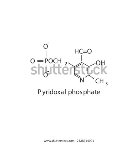 Pyridoxal Phosphate Skeletal Structure Diagramvitamin B6 Stock Vector Royalty Free 2538314901