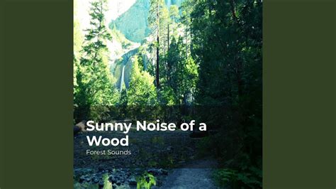 Tranquilizing Nature Youtube