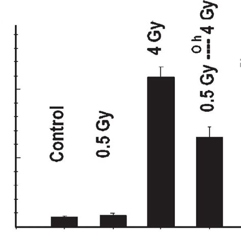 Micronucleus Formation In α Particle Exposed Confluent Download
