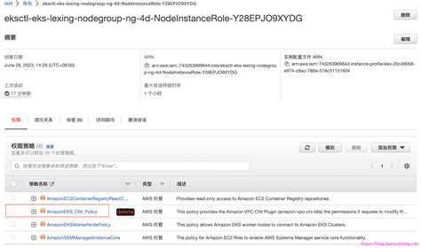 aws eks 04 安装 amazon vpc cni 飘逸峰的博客
