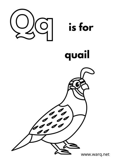 فلاش كارد تلوين وكتابة الحروف الإنجليزية منصة ورق التعليمية