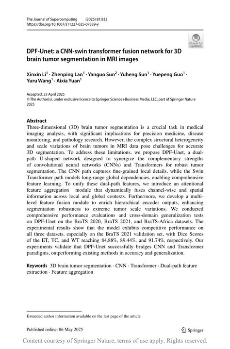 Dpf Unet A Cnn Swin Transformer Fusion Network For 3d Brain Tumor Segmentation In Mri Images