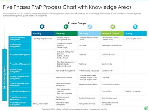 Pmp Process Chart It Powerpoint Presentation Slides Presentation Graphics Presentation