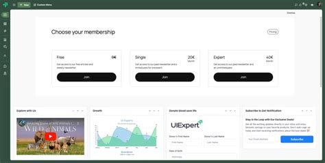 how to build a custom wordpress client dashboard