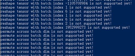 pnnx convert vit model failed “reshape tensor with batch index 1 is