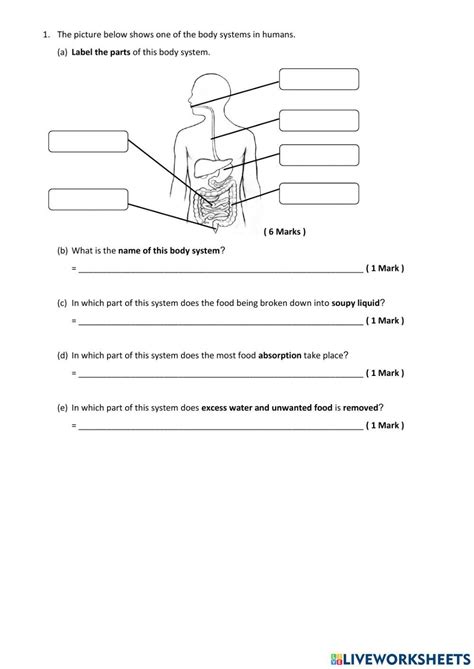 Science Human Free Interactive Worksheets 1531123