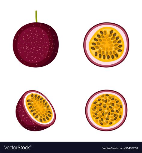 Passion Fruit Whole Fruit And Halves On White Vector Image