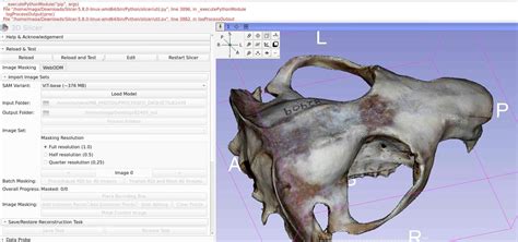 Slicermorph Photogrammetry Module Built On Odm The Showroom