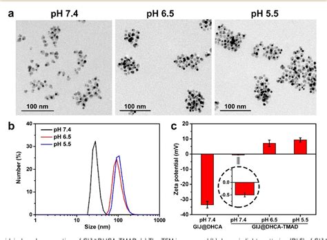 Figure 1 From Acid Triggered In Vivo Aggregation Of Janus Nanoparticles