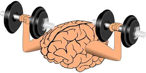 Mejora Tu Cerebro Con El Ejercicio Físico