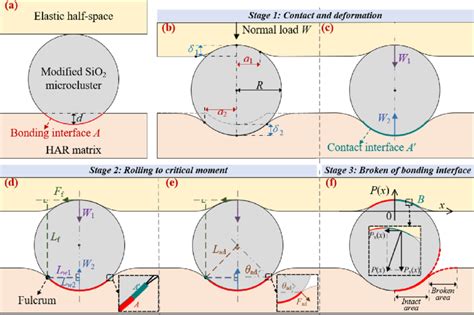 Geometry And Force Demonstration Of The Contact And Friction Pair With Download Scientific