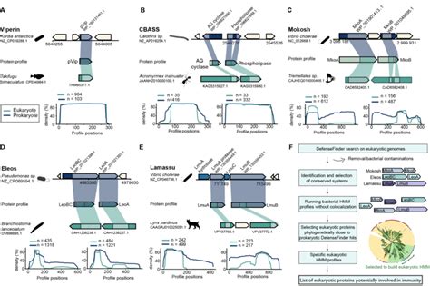 Distant Homologs Of Antiphage Systems Can Be Detected In Eukaryotes