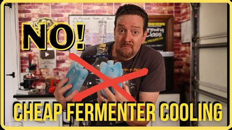 Controlling Fermentation Temps Cheapest Option Youtube