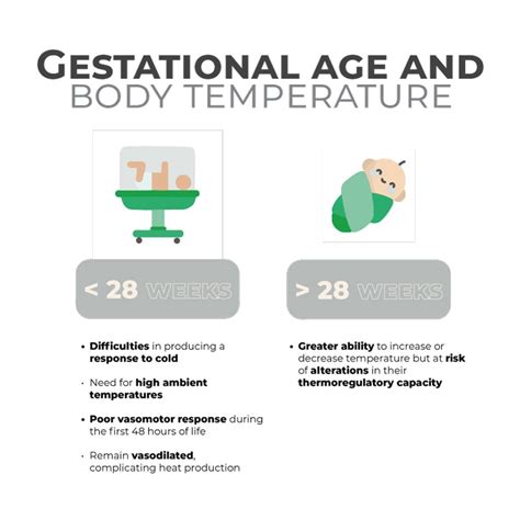 Gestational Age And Body Temperature Campus Vygon Global