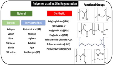 Natural Vs Synthetic Polymers How Do They Communicate With Cells For