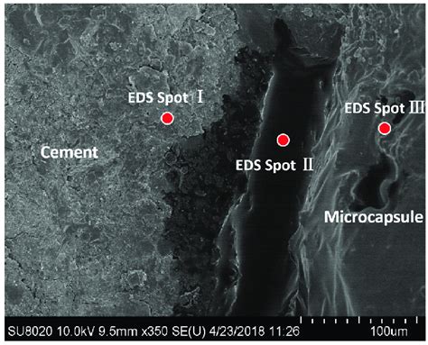 Sem Image Of The Crack In The Paste Sample Containing Microcapsules 50