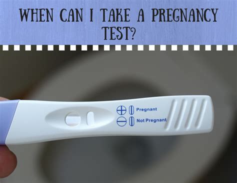 Pregnancy Test Just After Intercourse At Frank Quimby Blog