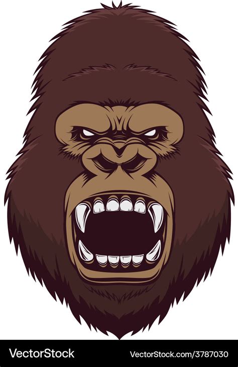 Angry Gorilla Head Royalty Free Vector Image Vectorstock