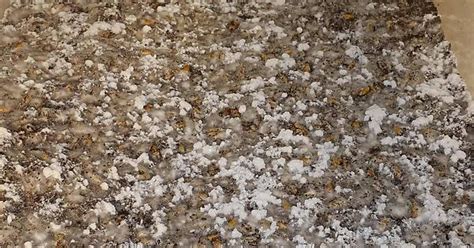 Today Any Tips Imgur