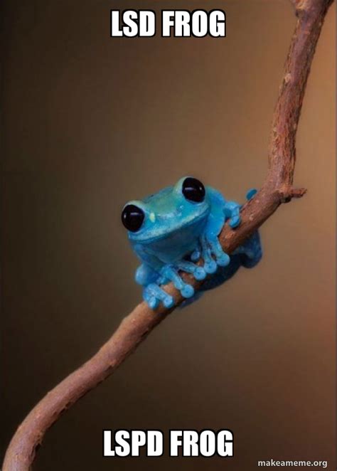 Lsd Frog Lspd Frog Small Fact Frog Meme Generator