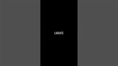 Labiate Language English Vocabulary Youtube