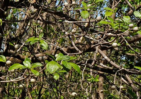 Engage The Exotic Curated Just For You