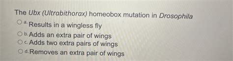 Solved The Ubx Ultrabithorax ﻿homeobox Mutation In