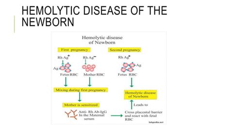 Hypersensitivity Reactions Types Classpptx