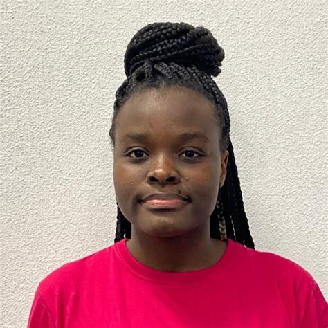 Dilane Lontsie 3il Ecole Dingénieurs En Informatique Limoges